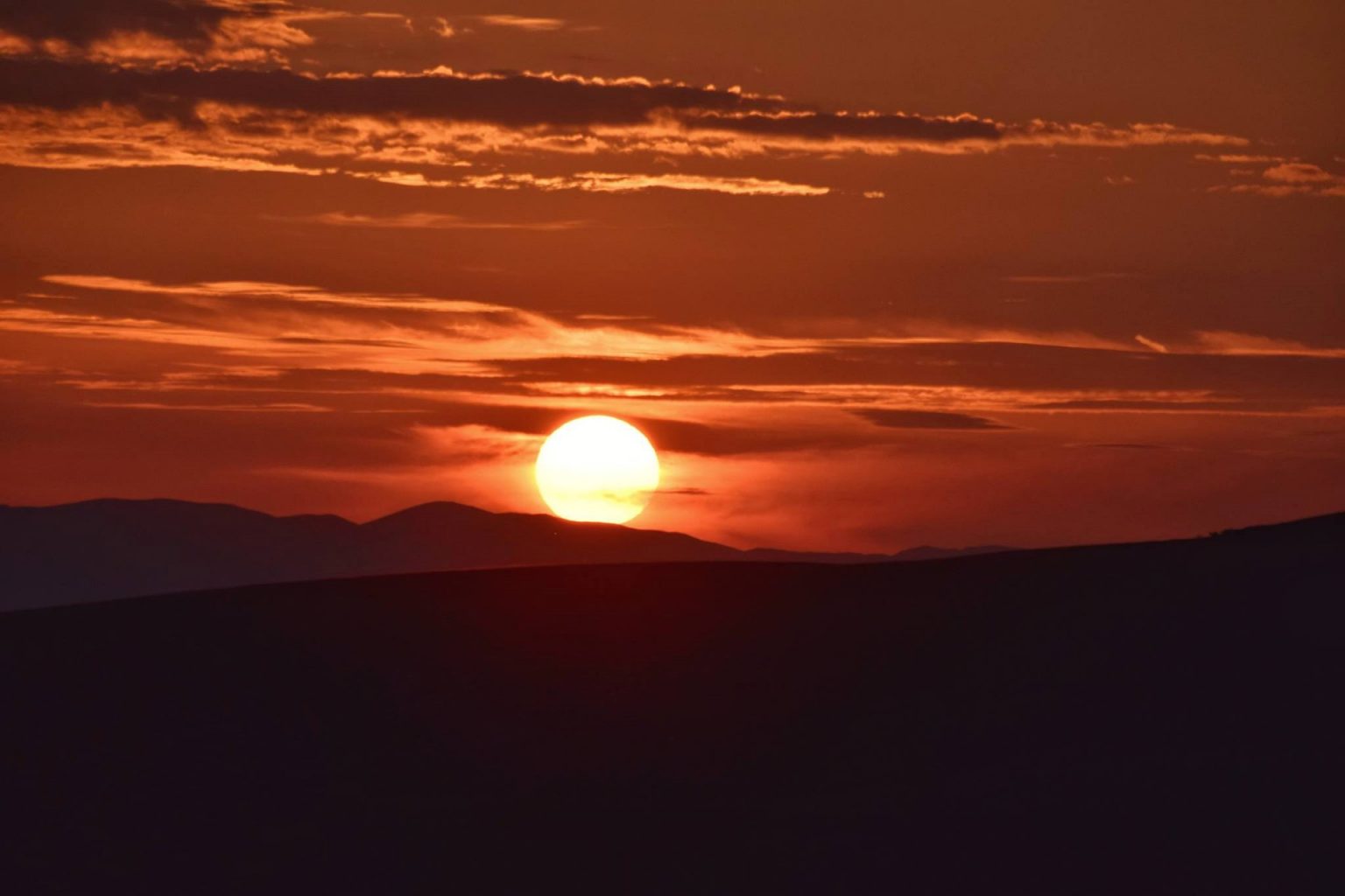 Landscape Gallery - Livno Wild Horses