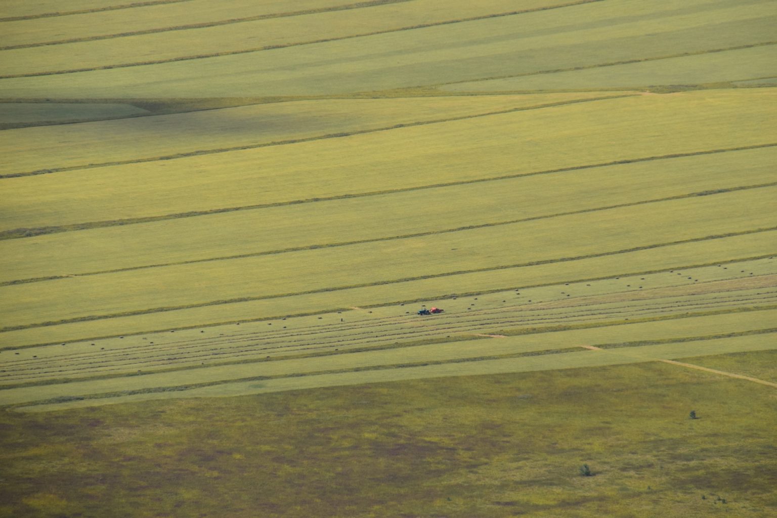 Landscape - Livno Wild Horses