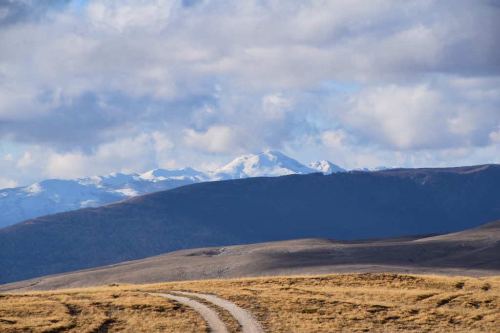 Landscape Gallery - Livno Wild Horses